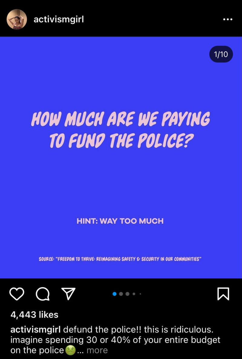 Infographic Activism and the Debate Surrounding Them